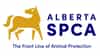 Alberta SPCA Heads & Tails 50/50