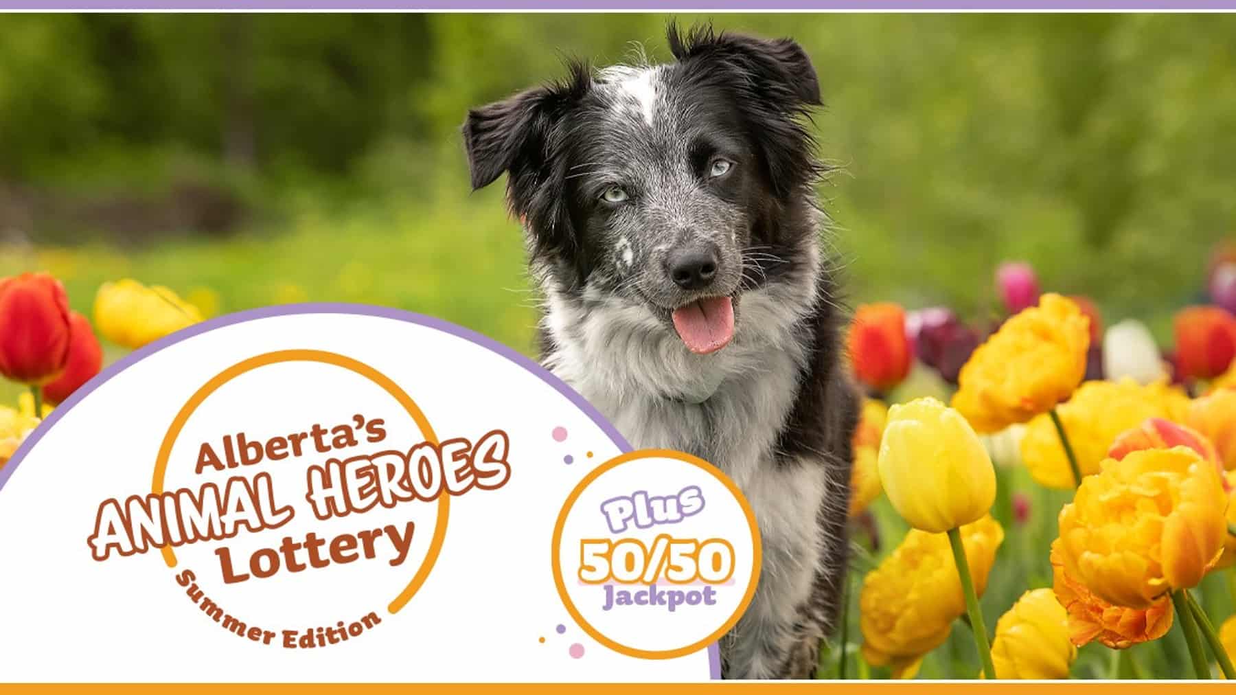 Alberta's Animals Heroes Lottery - Summer Edition