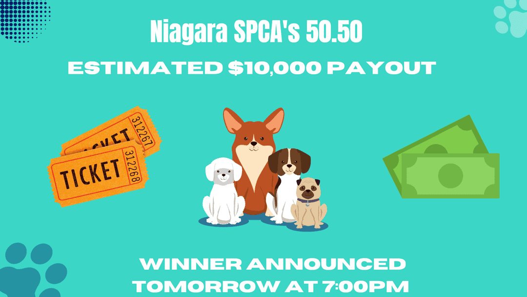 5050 for Niagara SPCA and Humane Society
