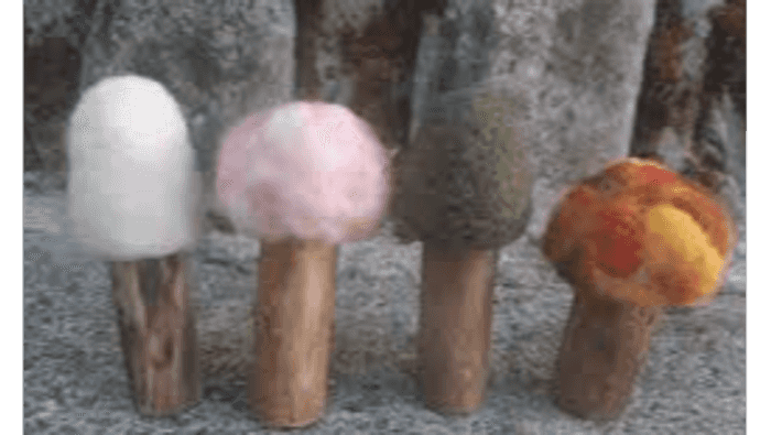 Engaging with the BC Early Learning Framework 24