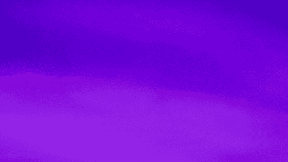 Engaging with the BC Early Learning Framework 24