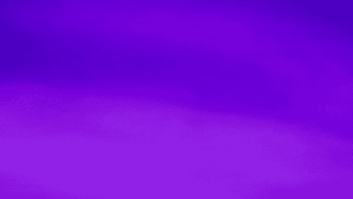 Engaging with the BC Early Learning Framework 24